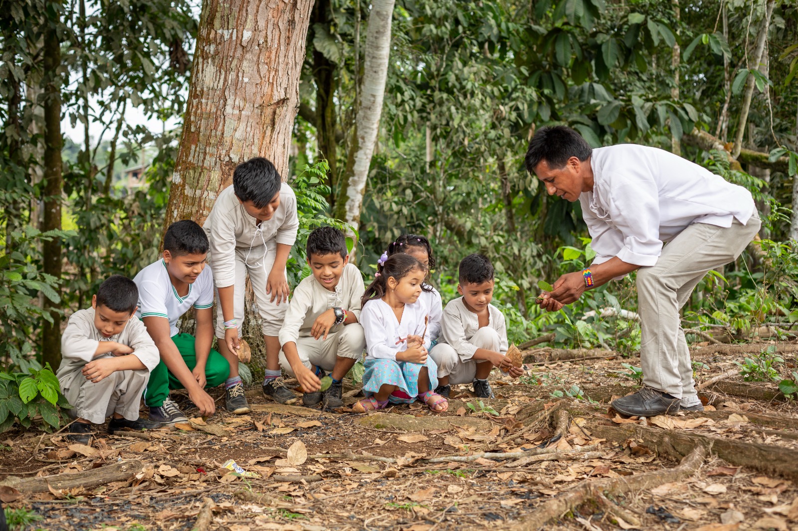 Pueblo Awa – ASOCIACIÓN AMPII CANKE